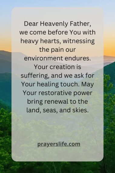 16 Powerful Prayers For The Environment