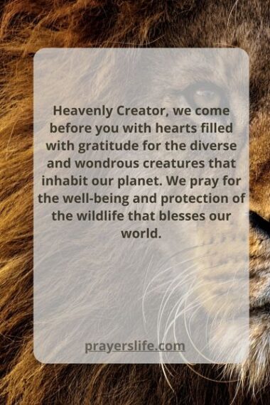 21 Effective Prayer For The Wild Things