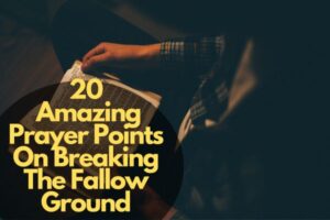 20 Amazing Prayer Points On Breaking The Fallow Ground