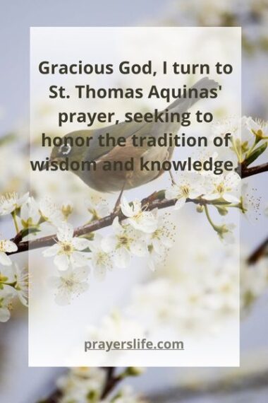 Prayer Before Study St. Thomas Aquinas