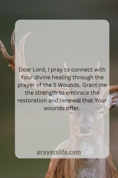 17 Powerful Prayer To The 5 Wounds Of Jesus