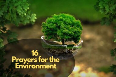 16 Powerful Prayers For The Environment
