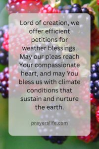 20 Powerful Catholic Prayer For Good Weather