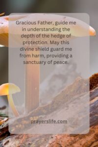 20 Powerful Psalm 121 Hedge Of Protection Prayer
