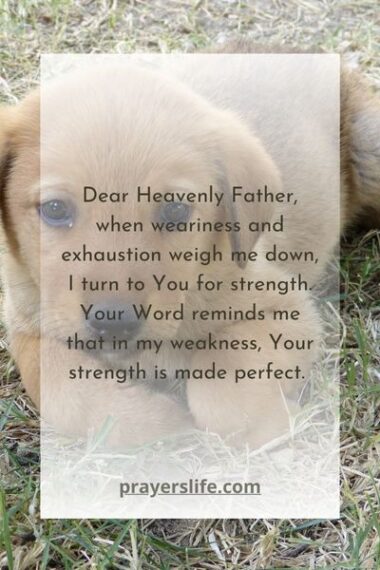 23 Best Prayer For The Weary And Tired