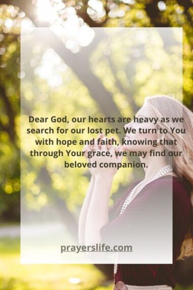 20 Powerful Prayer To Find A Lost Pet