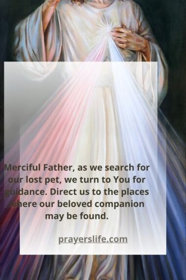 20 Powerful Prayer To Find A Lost Pet