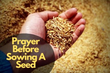 Prayer Before Sowing A Seed