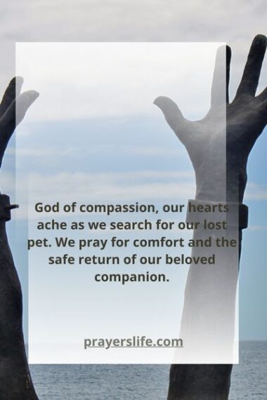 20 Powerful Prayer To Find A Lost Pet