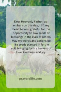 19 Effective Plough Prayer Of The Day
