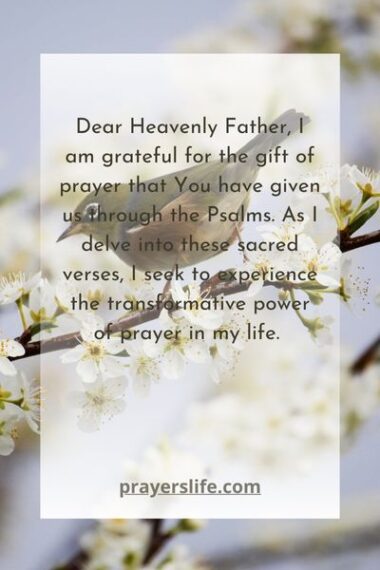 13 Different Types Of Prayers In The Psalms