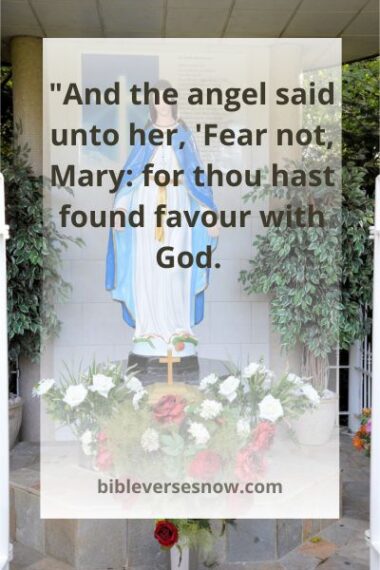 55 Effective Bible Verses About The Virgin Mary