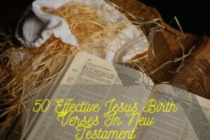 50 Effective Jesus Birth Verses In New Testament