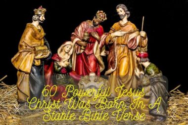 60 Powerful Jesus Christ Was Born In A Stable Bible Verse